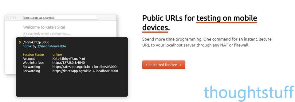 Run your app in Teams, but debug locally using ngrok: here’s how | The thoughtstuff Blog